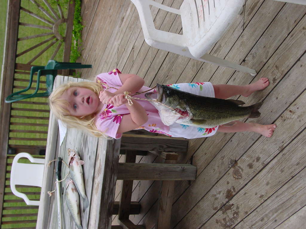 Emery Point At Lake Anna - 7 Bedroom Vacation Rental in Lake Anna, VA